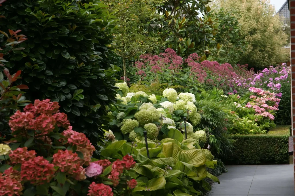 De juiste beplanting voor een onderhoudsarme tuin - Hoveniersbedrijf De ...